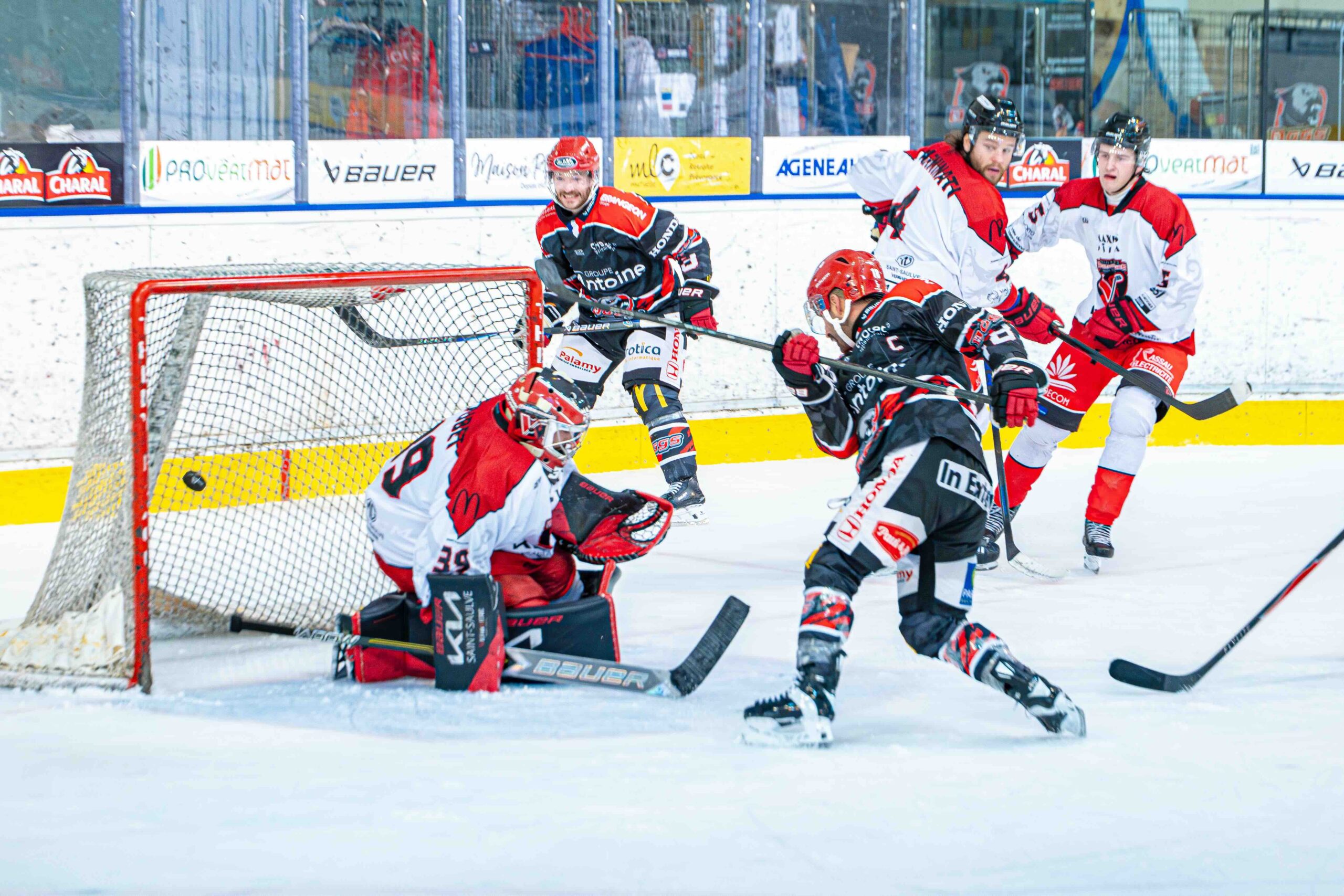 J.20 - L’avant-match : Les Dogs face au piège valenciennois - Les Dogs ...